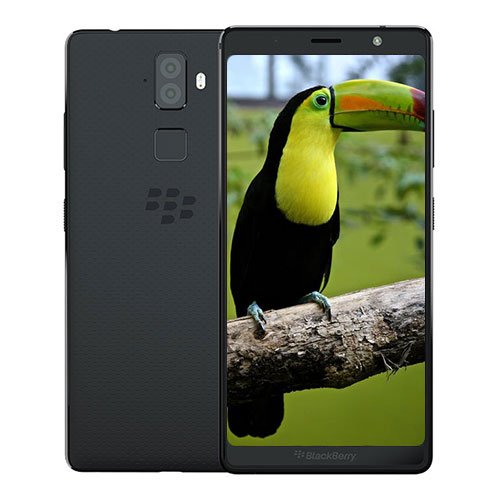 Blackberry Evolve 64GB - Cellular Kenya